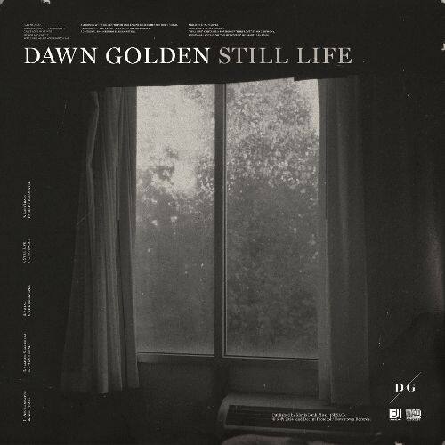 Best Buy: Still Life [CD]