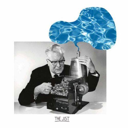 The Jist [LP] VINYL - Best Buy
