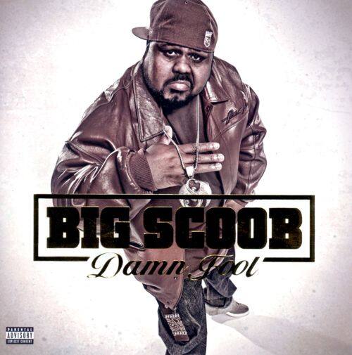 Best Buy: Damn Fool [CD] [PA]