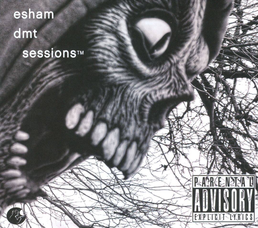 Best Buy: DMT Sessions [CD] [PA]