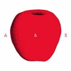 Best Buy: Adam and Steve [LP] VINYL