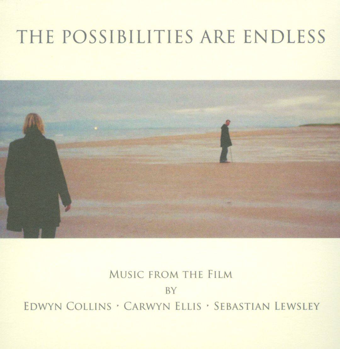 The Possibilities Are Endless [Original Soundtrack] [LP] VINYL - Best Buy