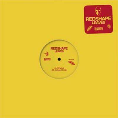 Leaves [12 inch Vinyl Single] - Best Buy