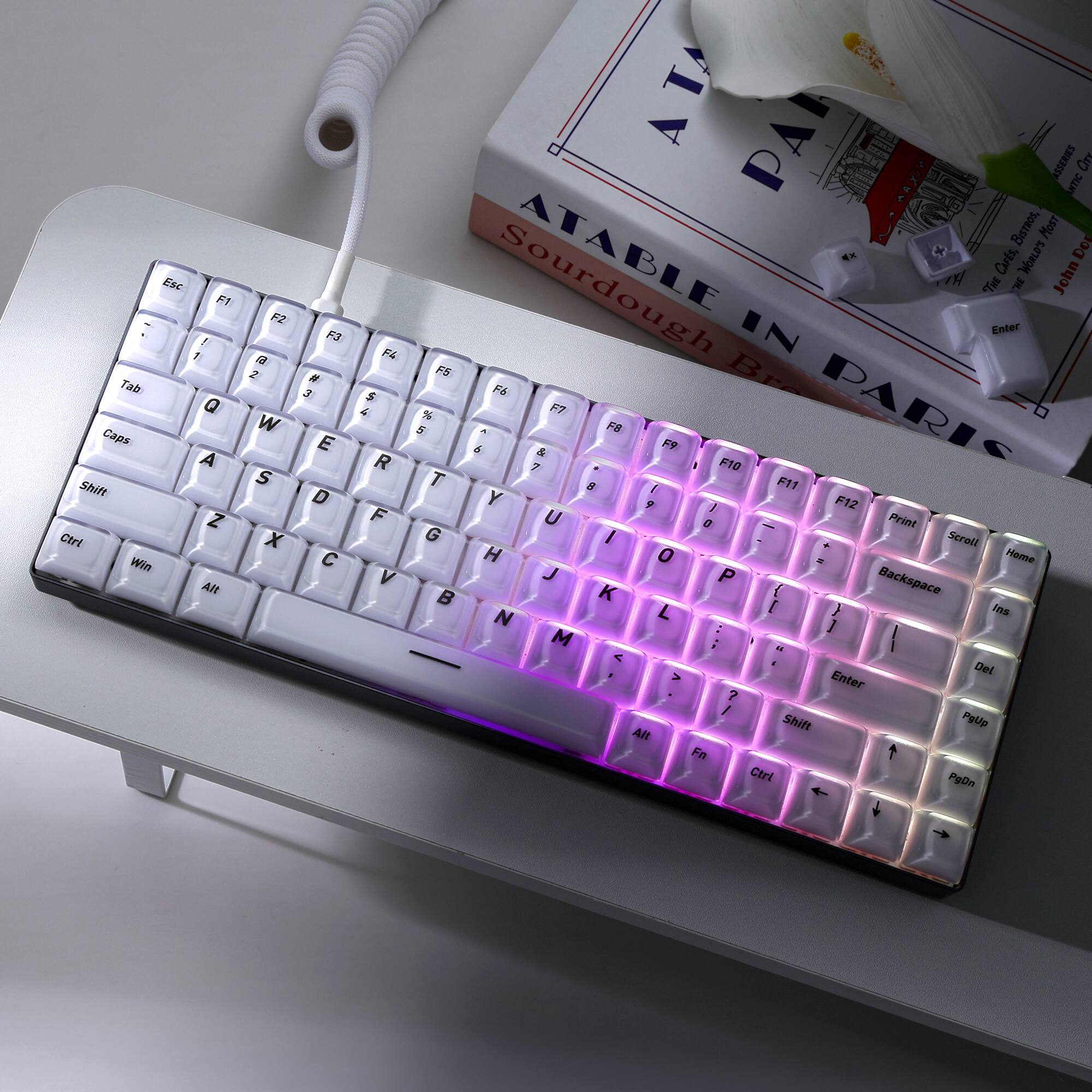 Womier Frosted Jelly Keycaps,CSA Profile Shine Through Keys for Most US ...