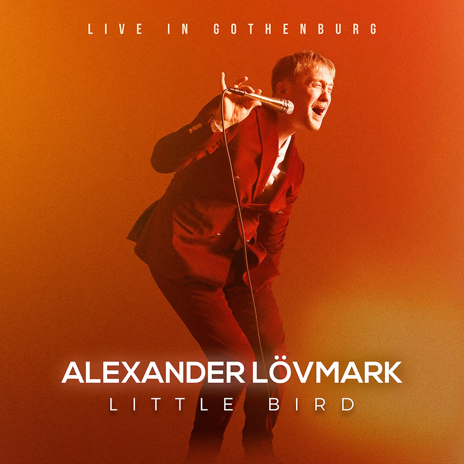 Alexander Lovmark Little Bird COMPACT DISCS [CD] - Best Buy