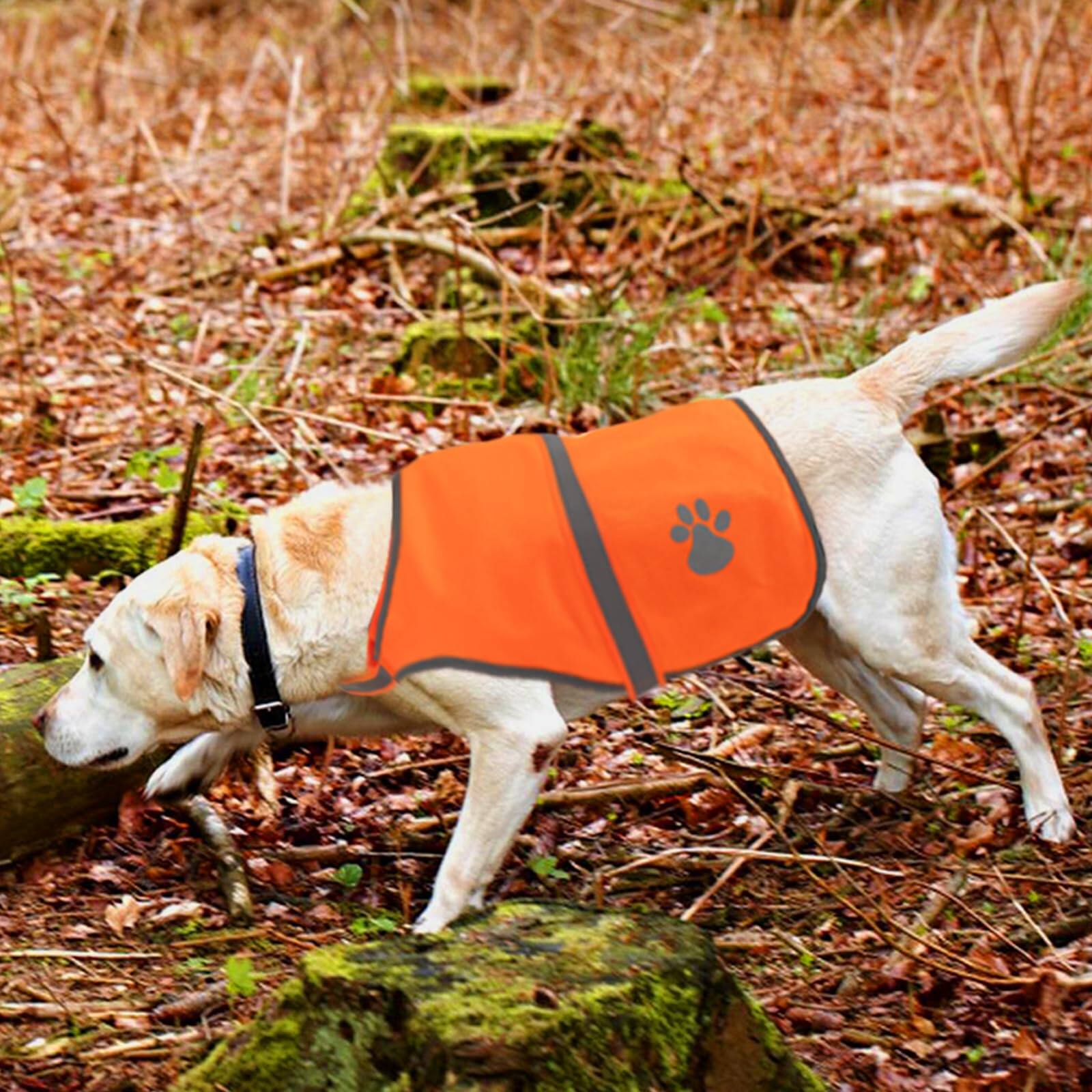 Paradigms Interiors Reflective Dog Vest High Visibility Fluorescent ...