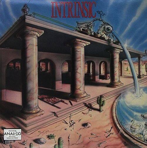 Intrinsic [LP] VINYL - Best Buy