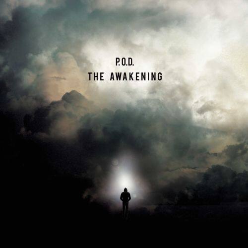 Best Buy: The Awakening [LP] VINYL