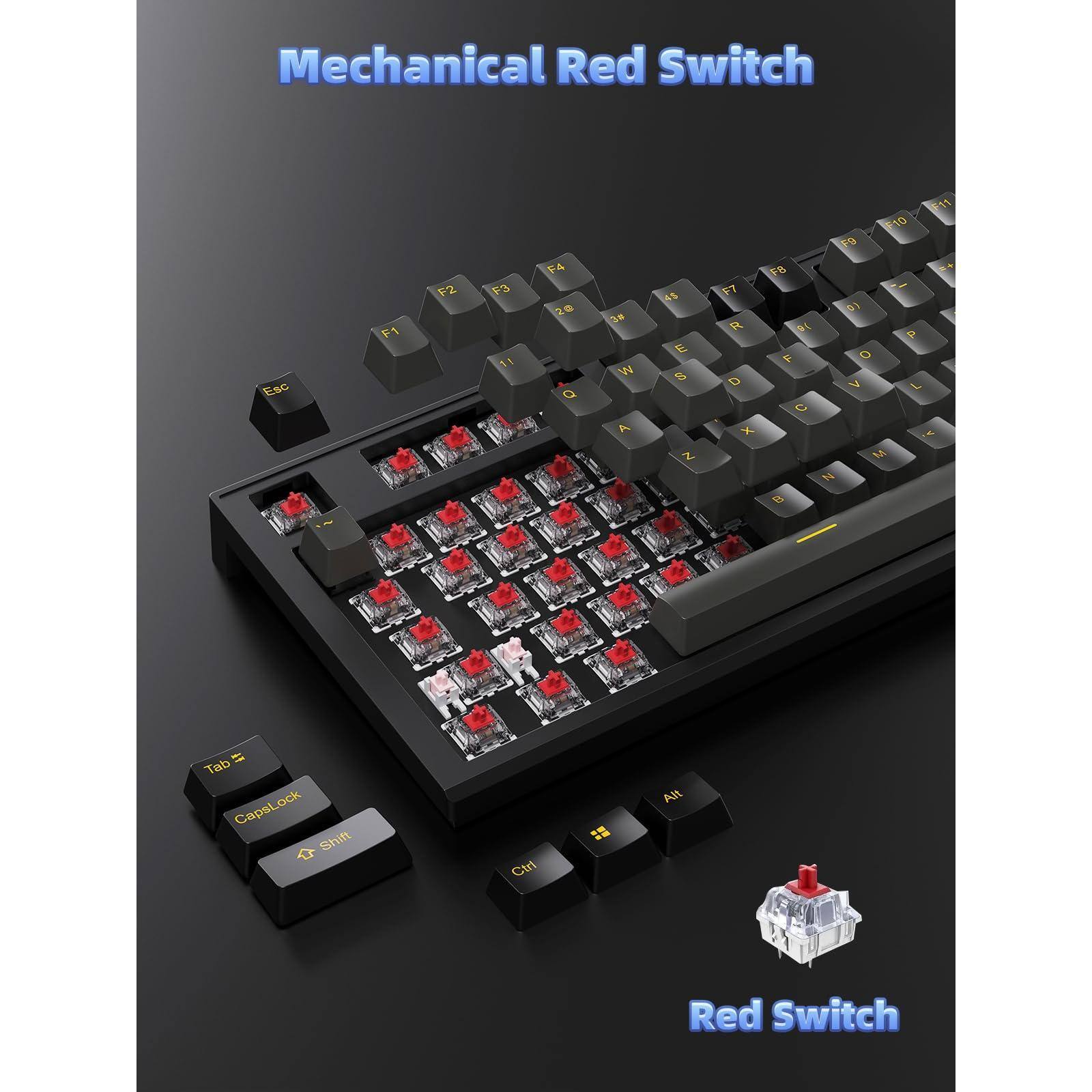 Stamp n Camp Cr87 Hot swappable Rgb Mechanical Gaming 87 Key Compact ...