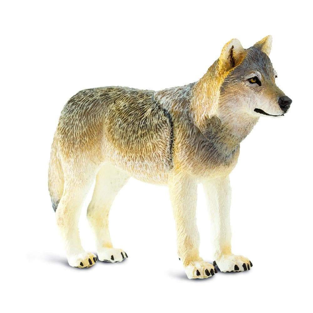 Safari Ltd. Gray Wolf Toy Figurine - Best Buy