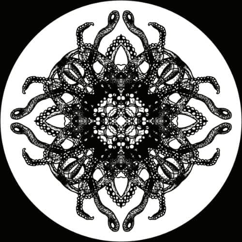 Best Buy: Contortions [12 inch Vinyl Single]