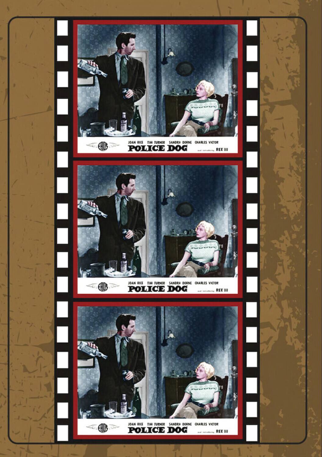 Police Dog DVD - Best Buy