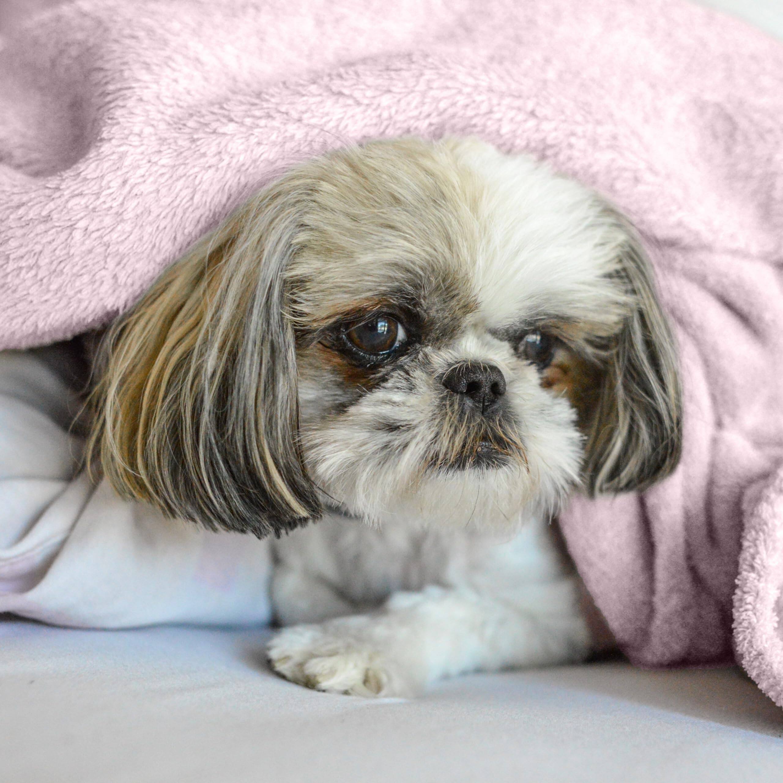 Pacoar Cade Blanket Lightweight Breathable Warm Cozy Soft Throw Cradel ...