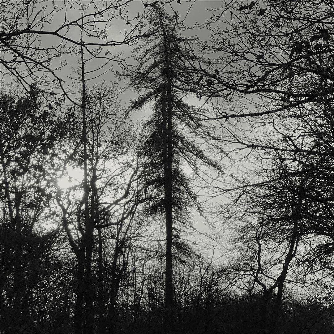 Feral Earth [LP] [VINYL] - Best Buy