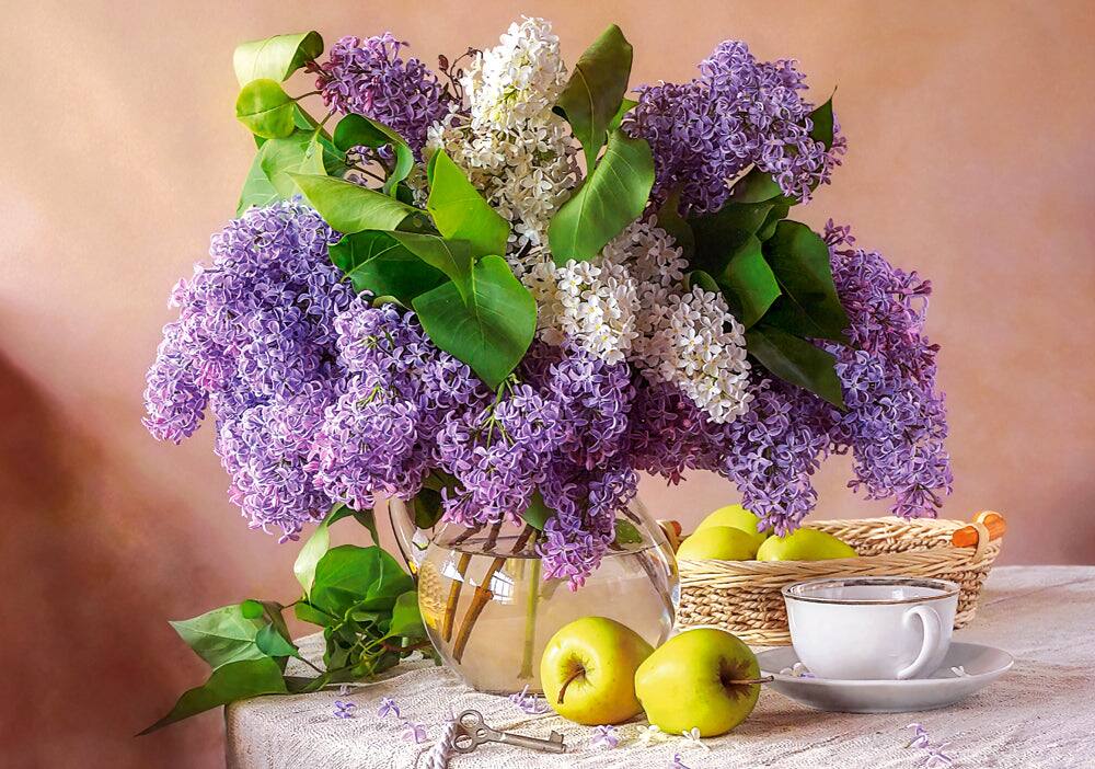 Castorland 500 Piece Jigsaw Puzzles, Lilac Still Life, Flower puzzle ...