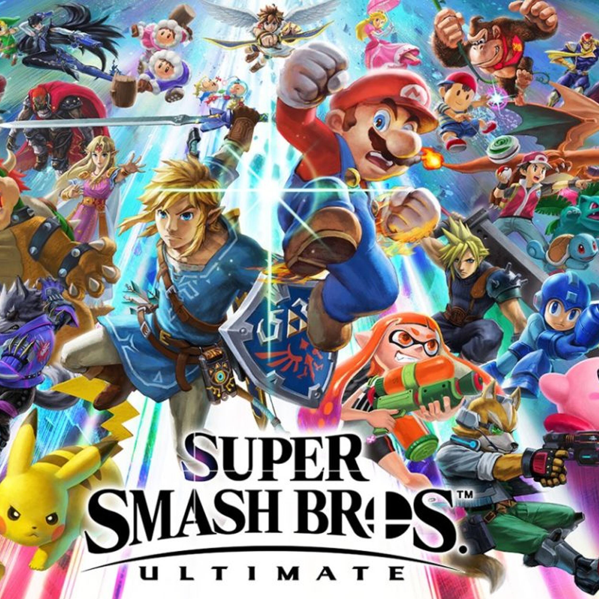 Hard Shell 12 Game Caddy, Super Smash Bros Game for Nintendo Switch ...