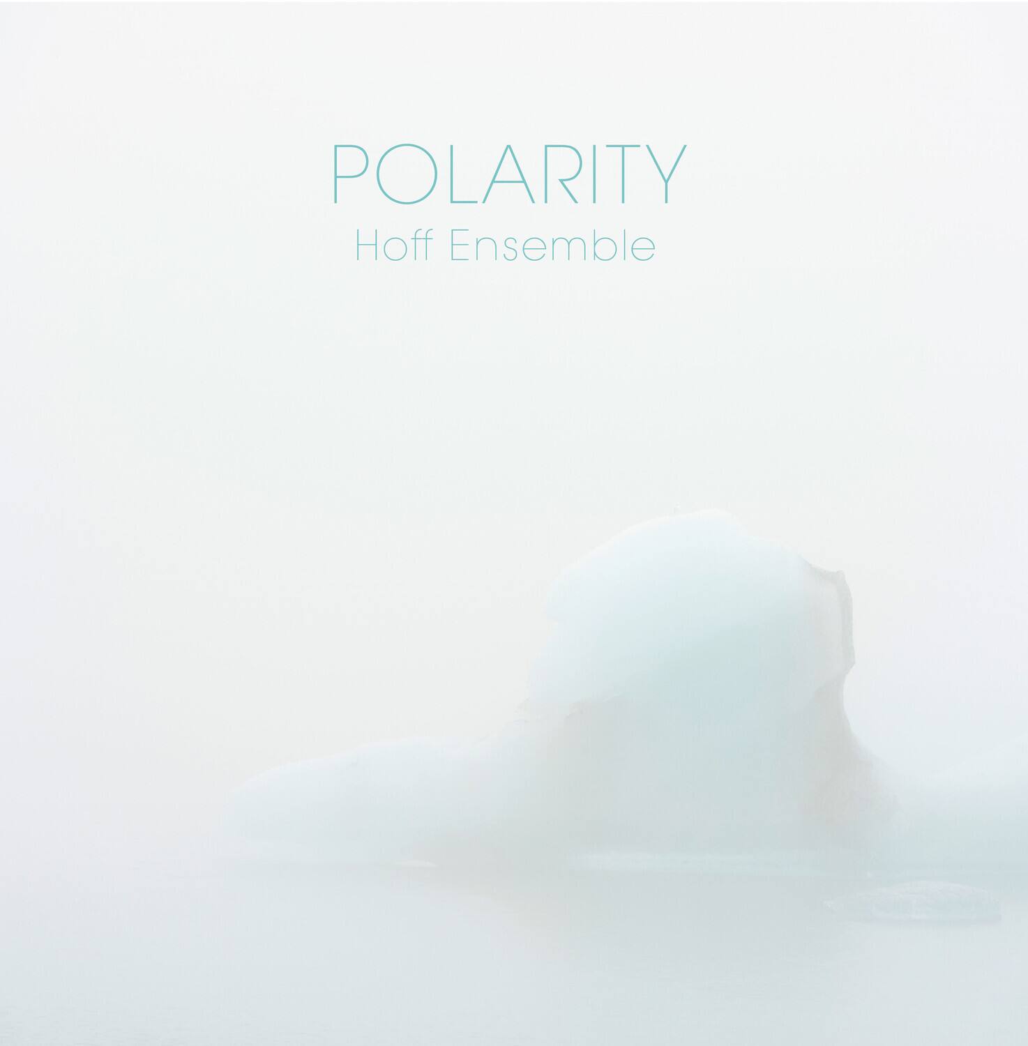 Hoff Ensemble Polarity VINYL LP - Best Buy
