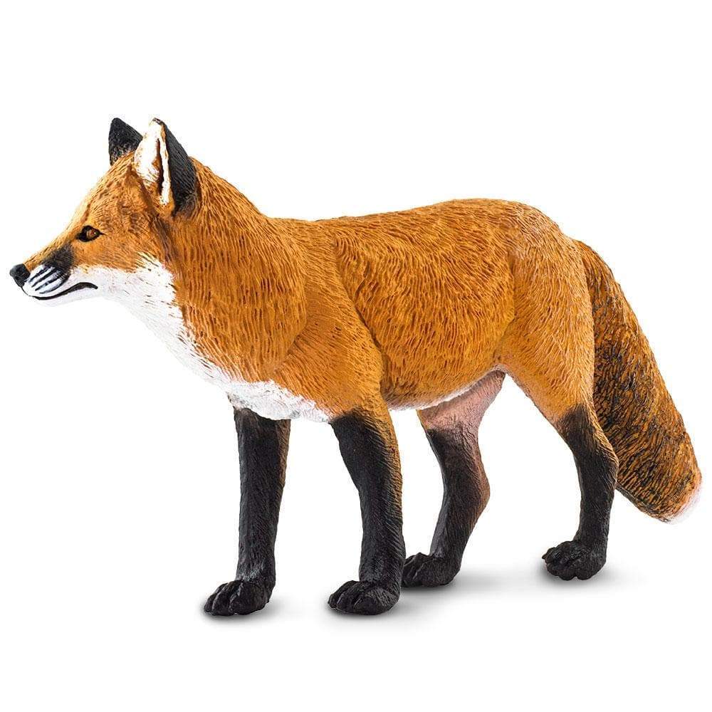 Safari Ltd. Red Fox Toy Figurine - Best Buy