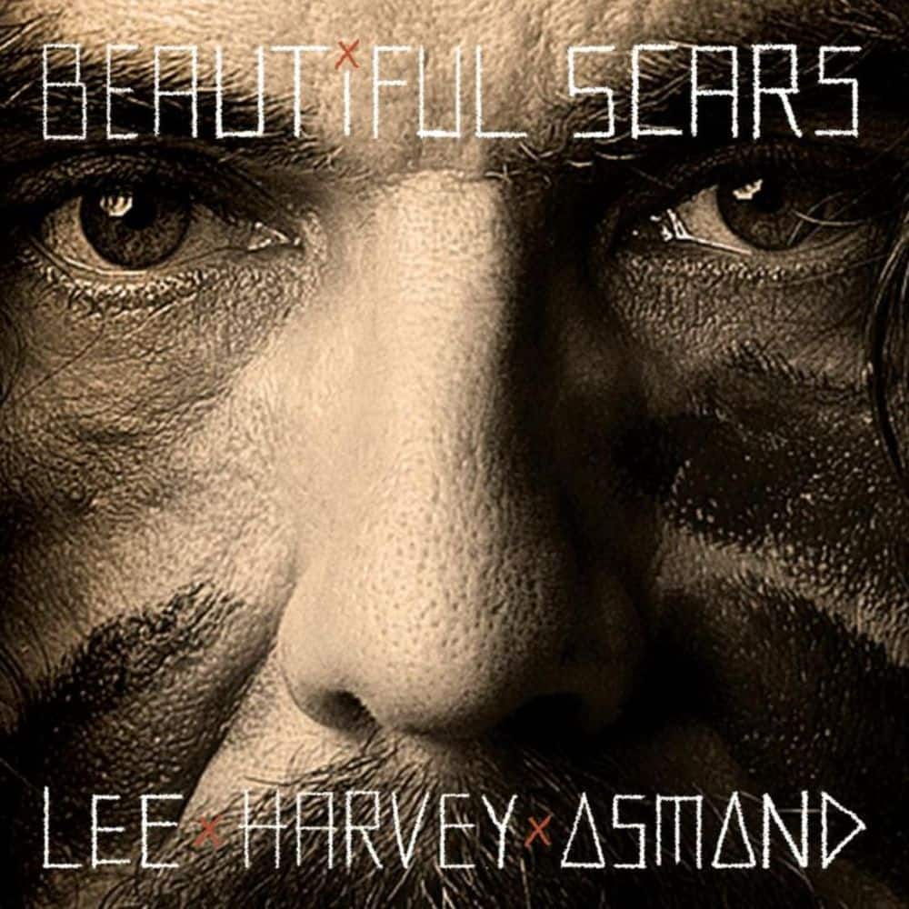Best Buy: Beautiful Scars [LP] VINYL