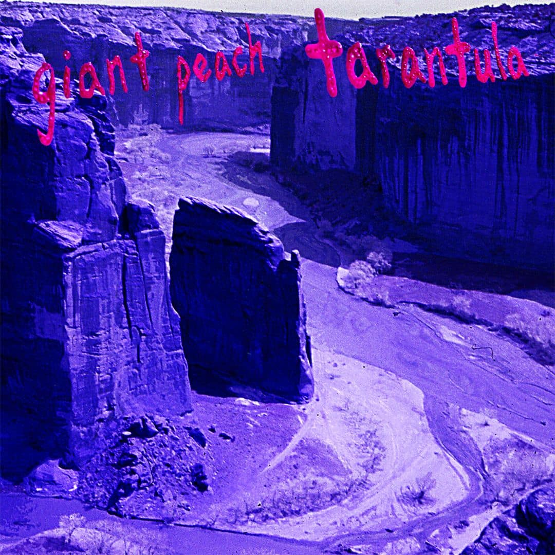 Best Buy: Tarantula [LP] VINYL