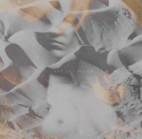 Best Buy: Love Let Me Go [LP] VINYL