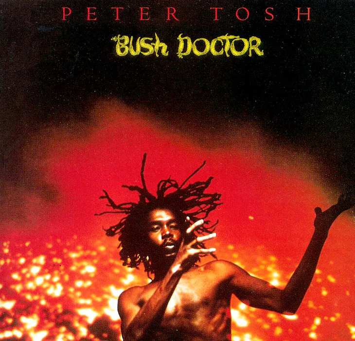 Bush Doctor [LP] [VINYL] - Best Buy