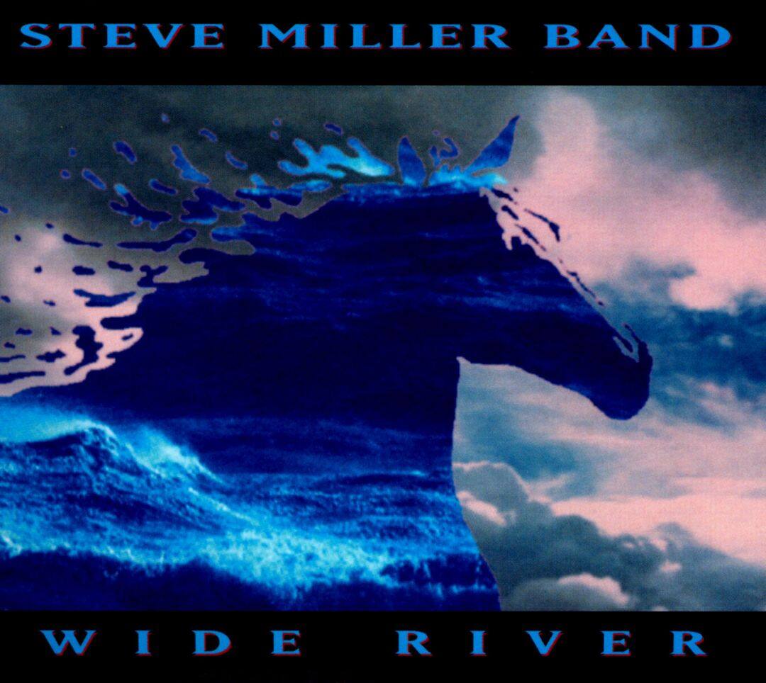 Best Buy: Wide River [LP] VINYL