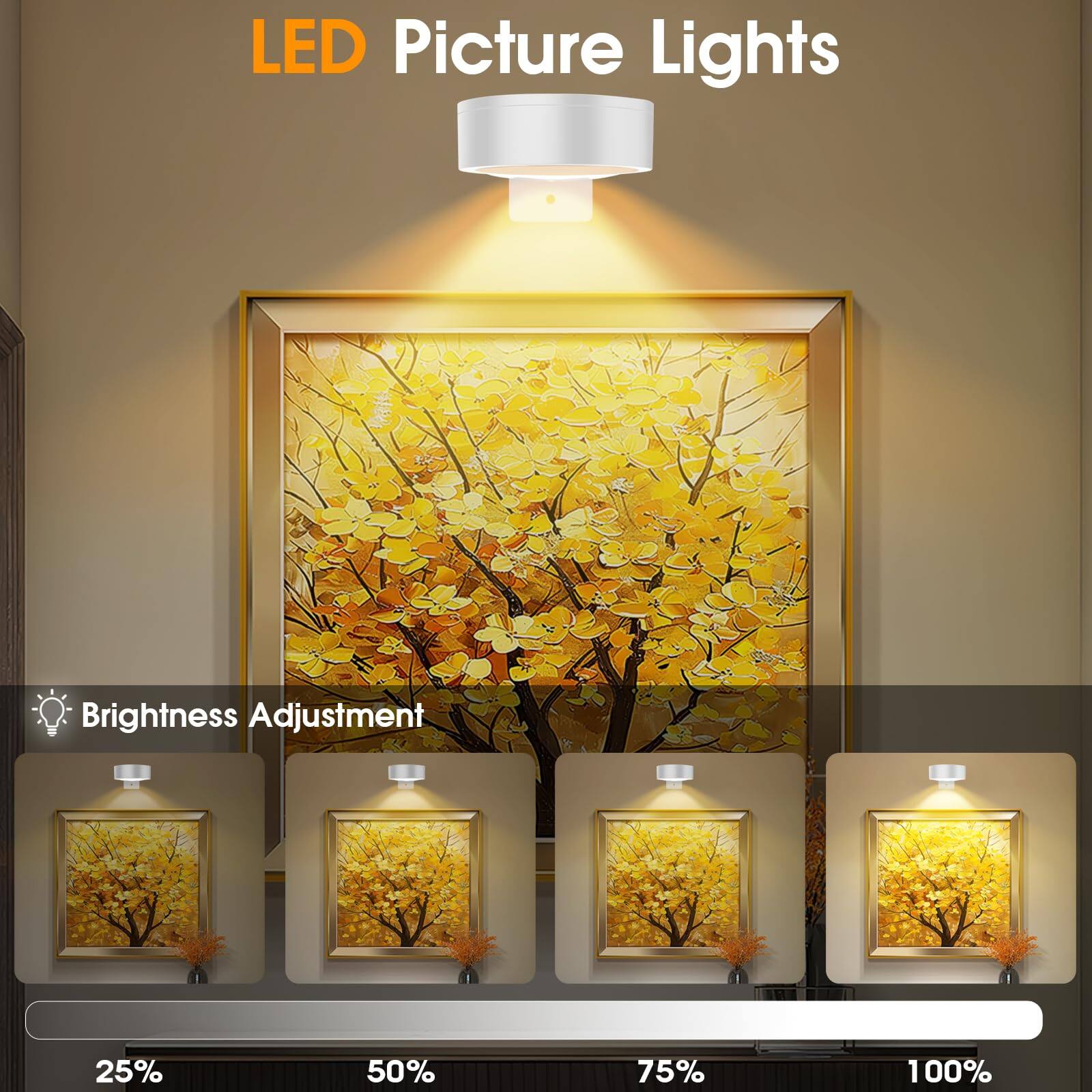 COTTAGE 13 Rgb Color Changing Led Art Display Light For Picture Frame ...