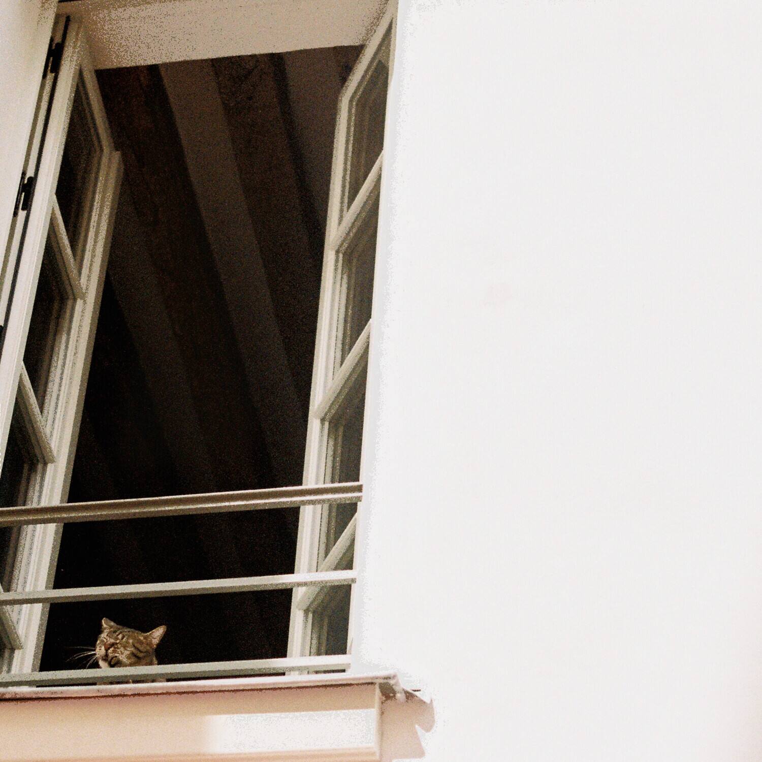 M(h)aol Something Soft COMPACT DISCS [CD] - Best Buy