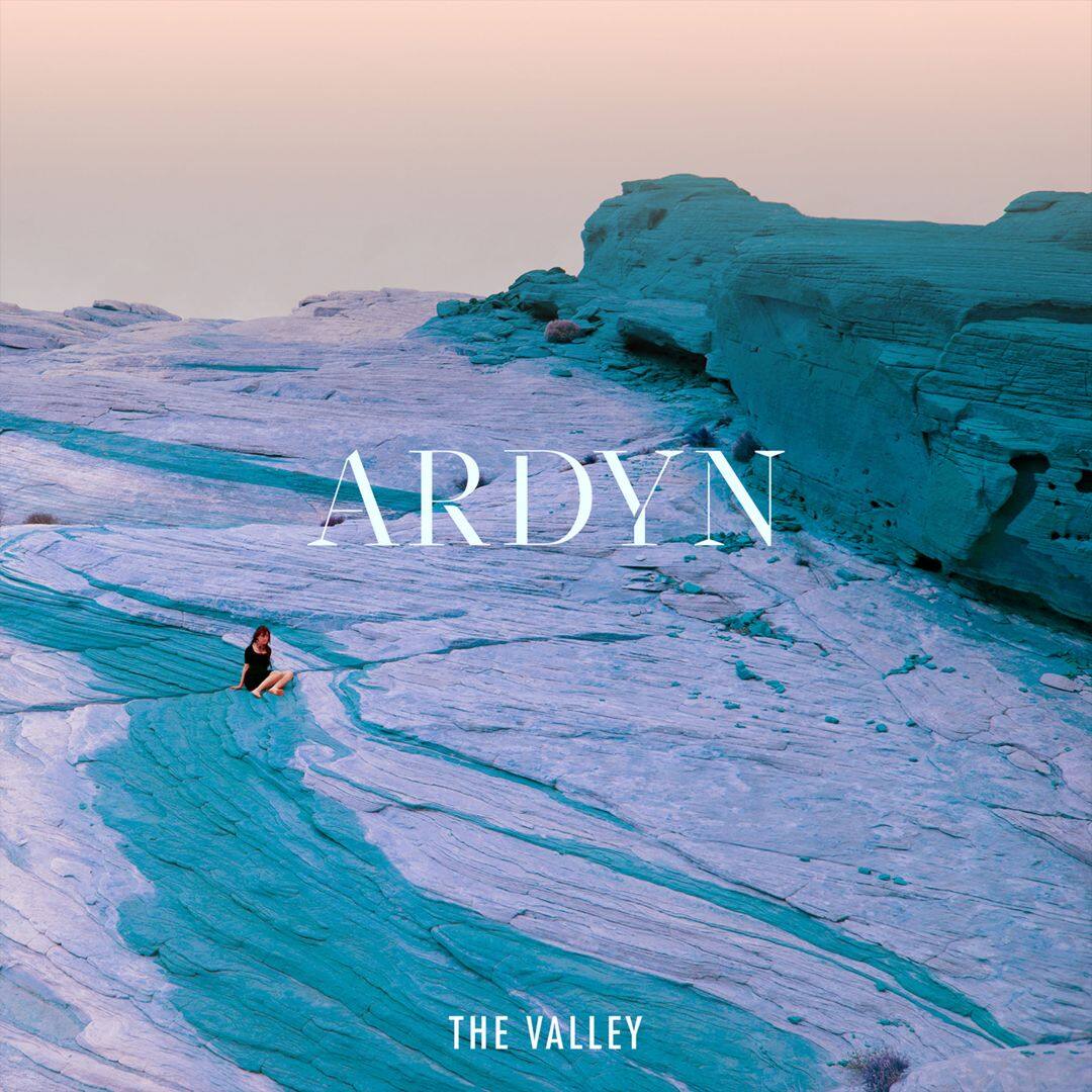 The Valley [LP] VINYL - Best Buy