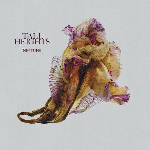 Best Buy: Neptune [LP] VINYL