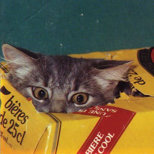 Best Buy: Meow [LP] VINYL