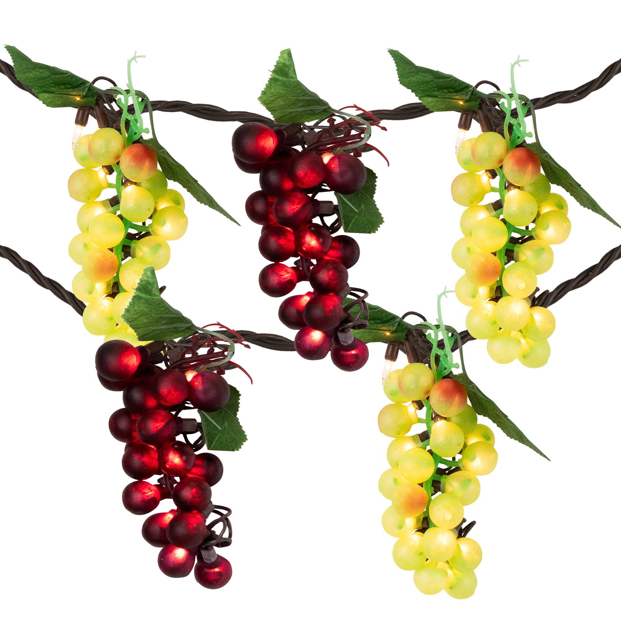 Northlight 5 Count and Green Grape Cluster String Light Set, 8ft Brown ...