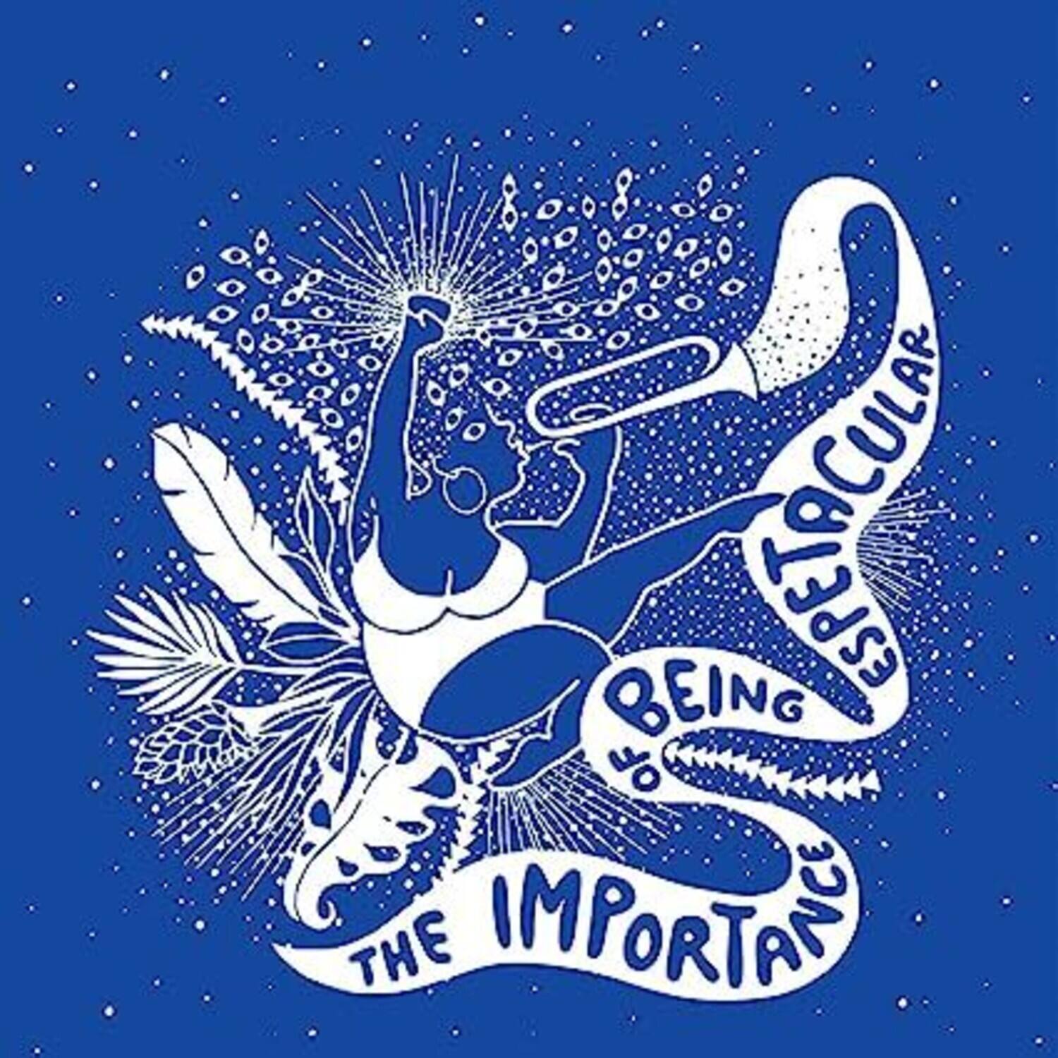 Franca,Thiago / A Espetacular Charanga Do Franca Importance Of Being Espetacular VINYL LP - Best Buy