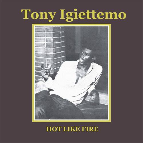 Best Buy: Hot Like Fire [LP] VINYL