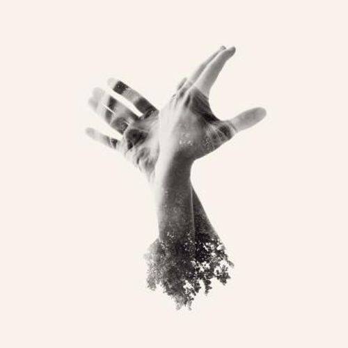 Best Buy: The Nothing [LP] VINYL