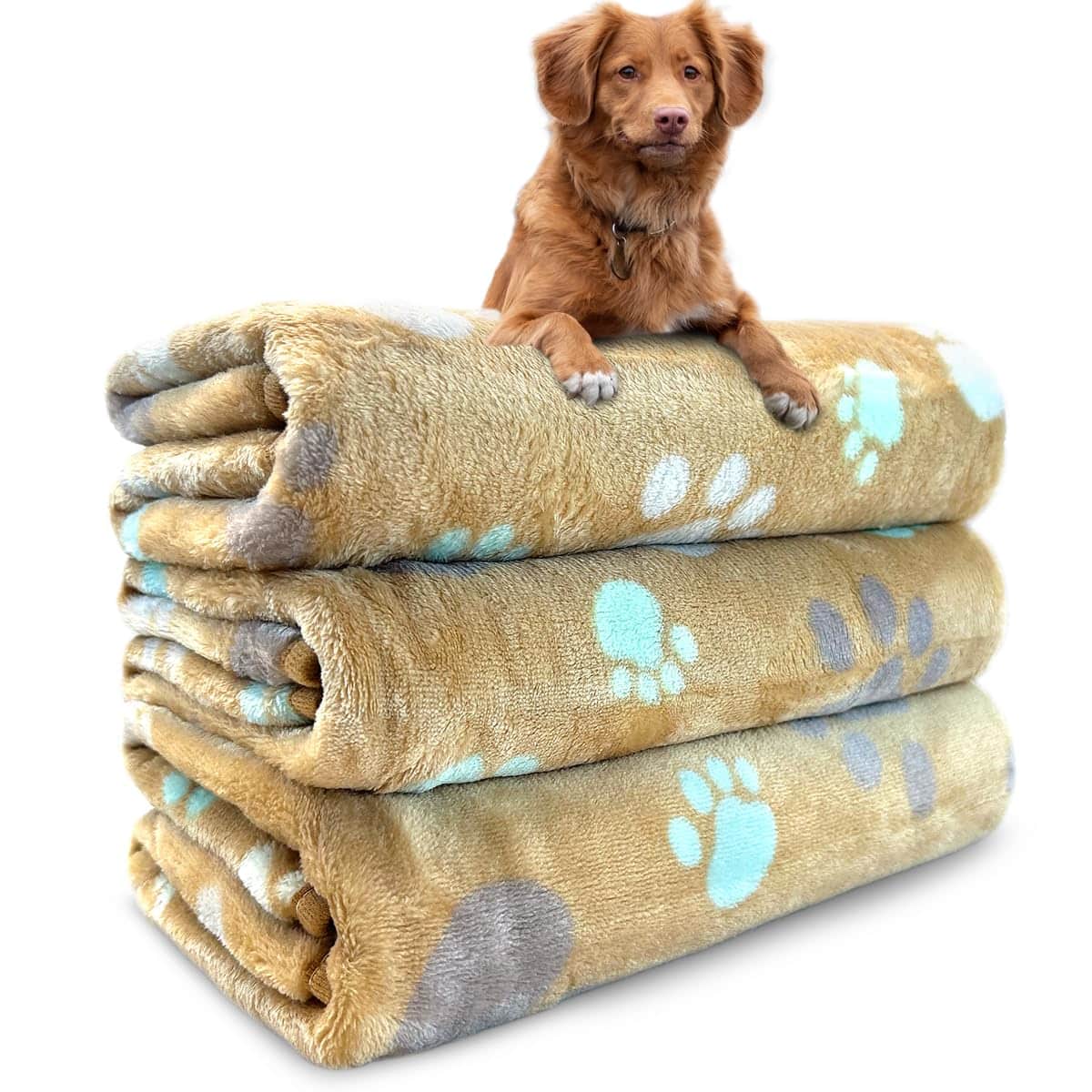 Pacoar Cade - Dog Blankets For Medium Large Dogs 3 Pack Blanket ...
