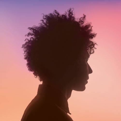 Best Buy: Témé Tan [LP] VINYL