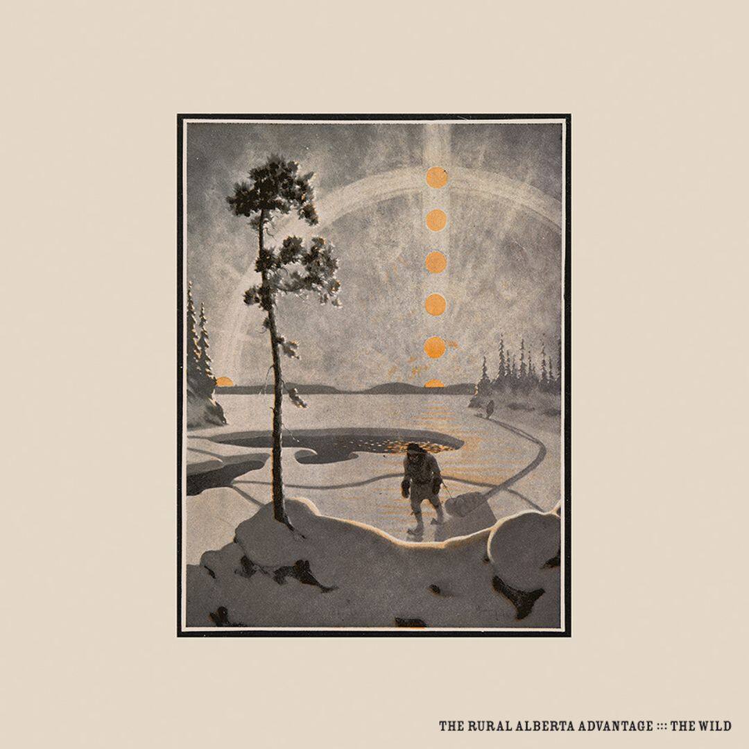 Wild [LP] VINYL - Best Buy
