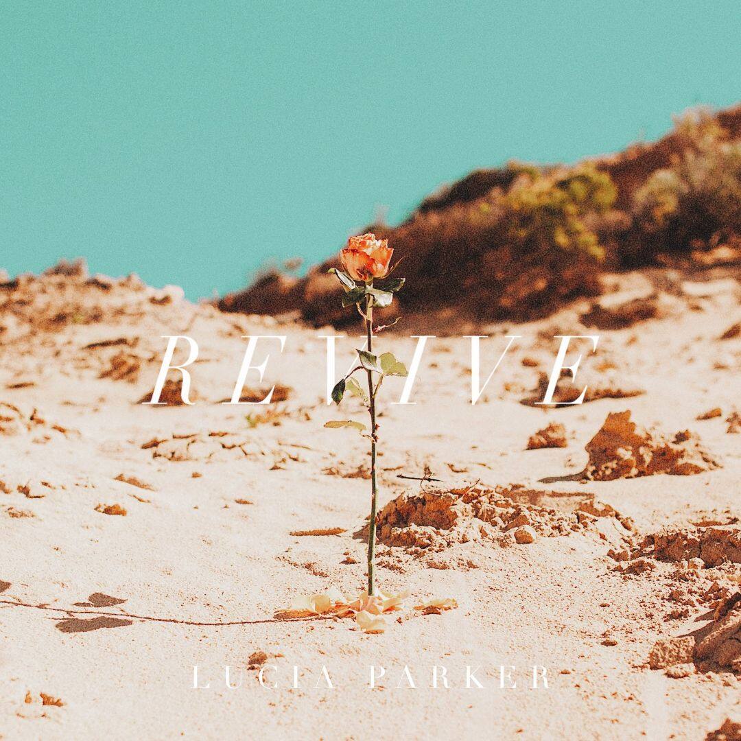 Best Buy: Revive [CD]