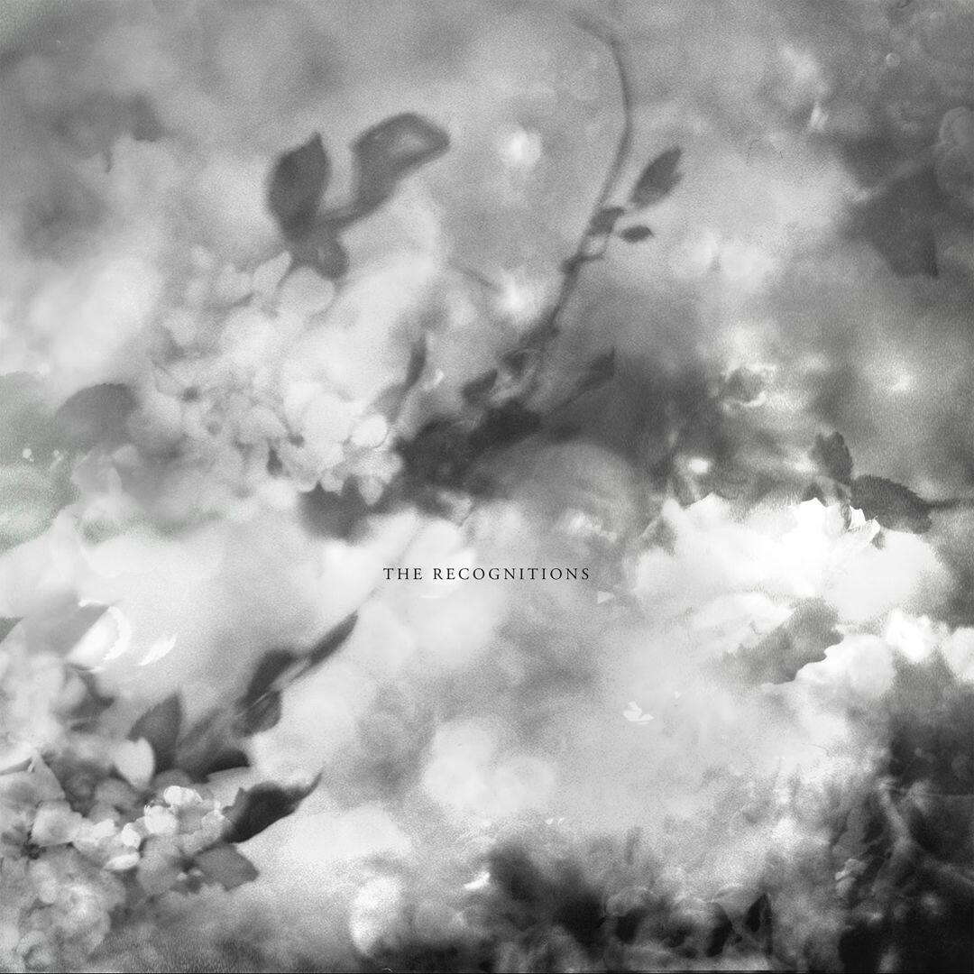 Best Buy: The Recognitions [LP] VINYL