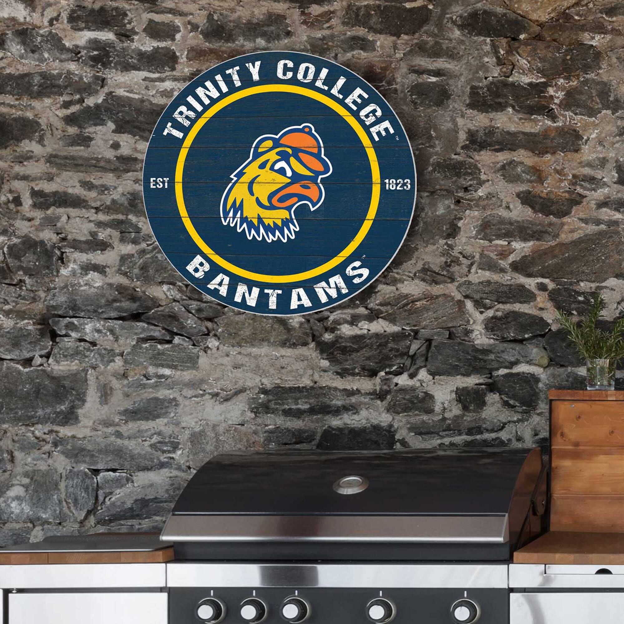 Jardine Trinity Bantams 20'' x 20'' Indoor/Outdoor Weathered Circle ...