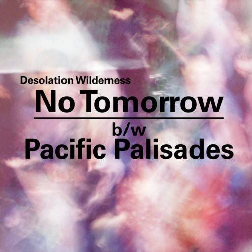Desolation Wilderness No Tomorrow/Pacific Palisades 7 INCH SINGLE [7 ...
