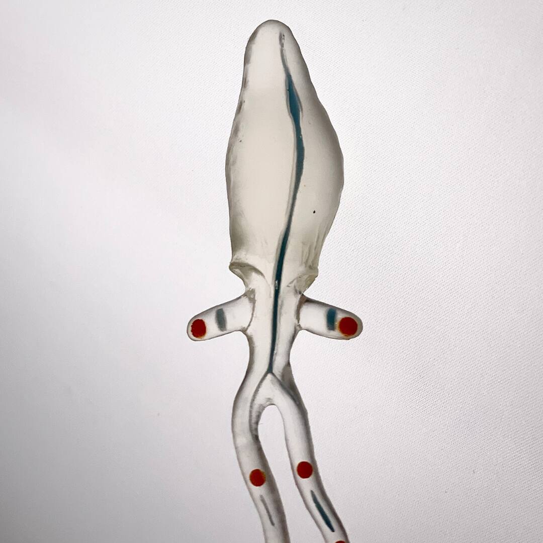 Safari Ltd. Deep Sea Creatures Toob Toy - Best Buy