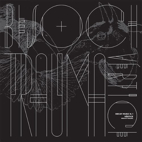 Best Buy: Decay Music 1: Besoch Trauma [LP] VINYL