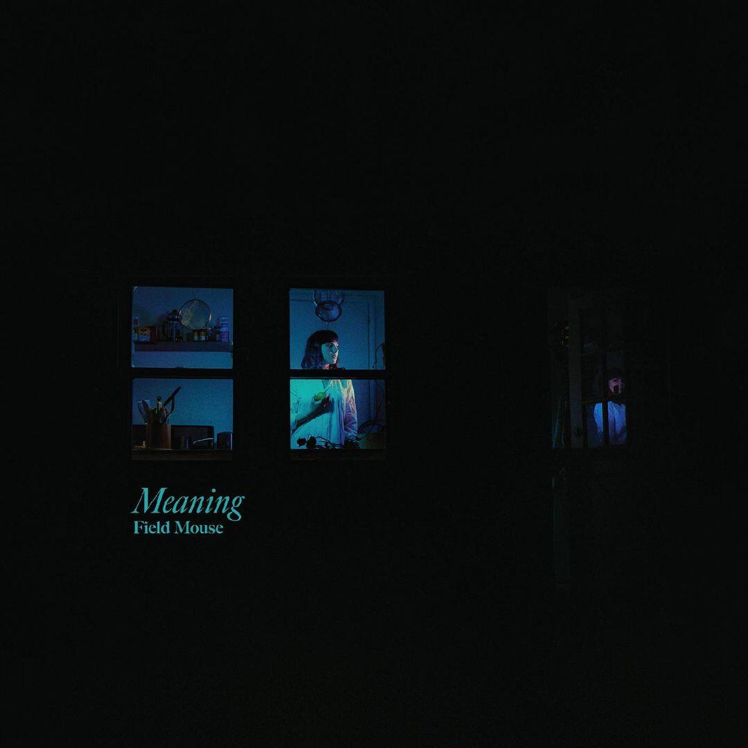Best Buy Meaning LP VINYL Best Buy Meaning LP VINYL