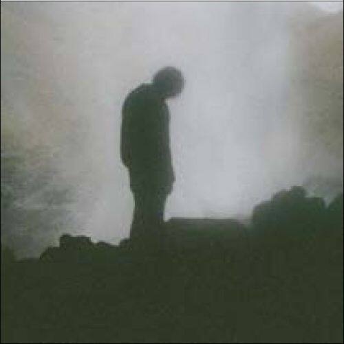 Afterlife [LP] VINYL - Best Buy