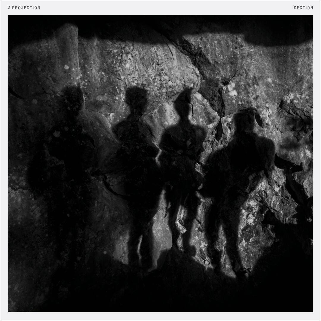 Best Buy: Section [LP] VINYL