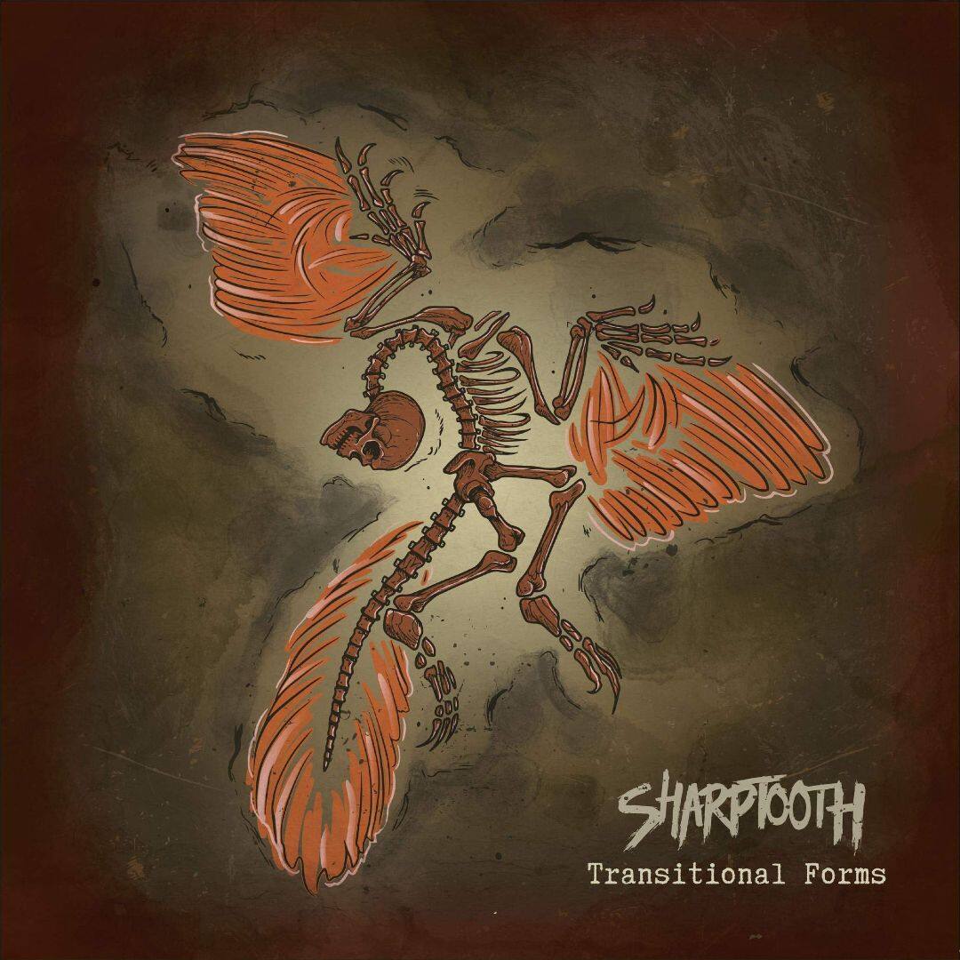 Best Buy: Transitional Forms [Limited Edition] [LP] VINYL