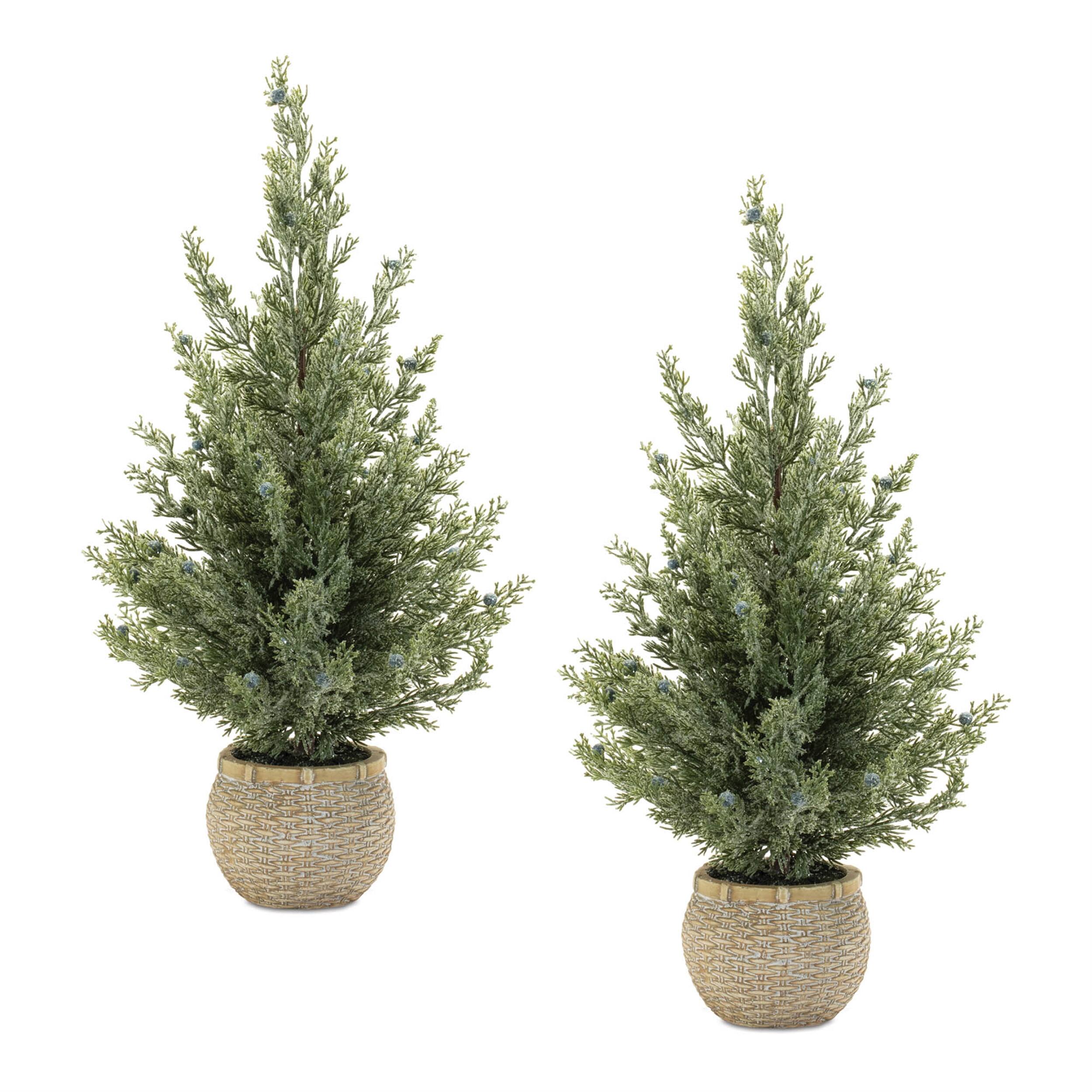 BreeBe Potted Mini Pine Tree (Set of 2) Green 95024DS - Best Buy